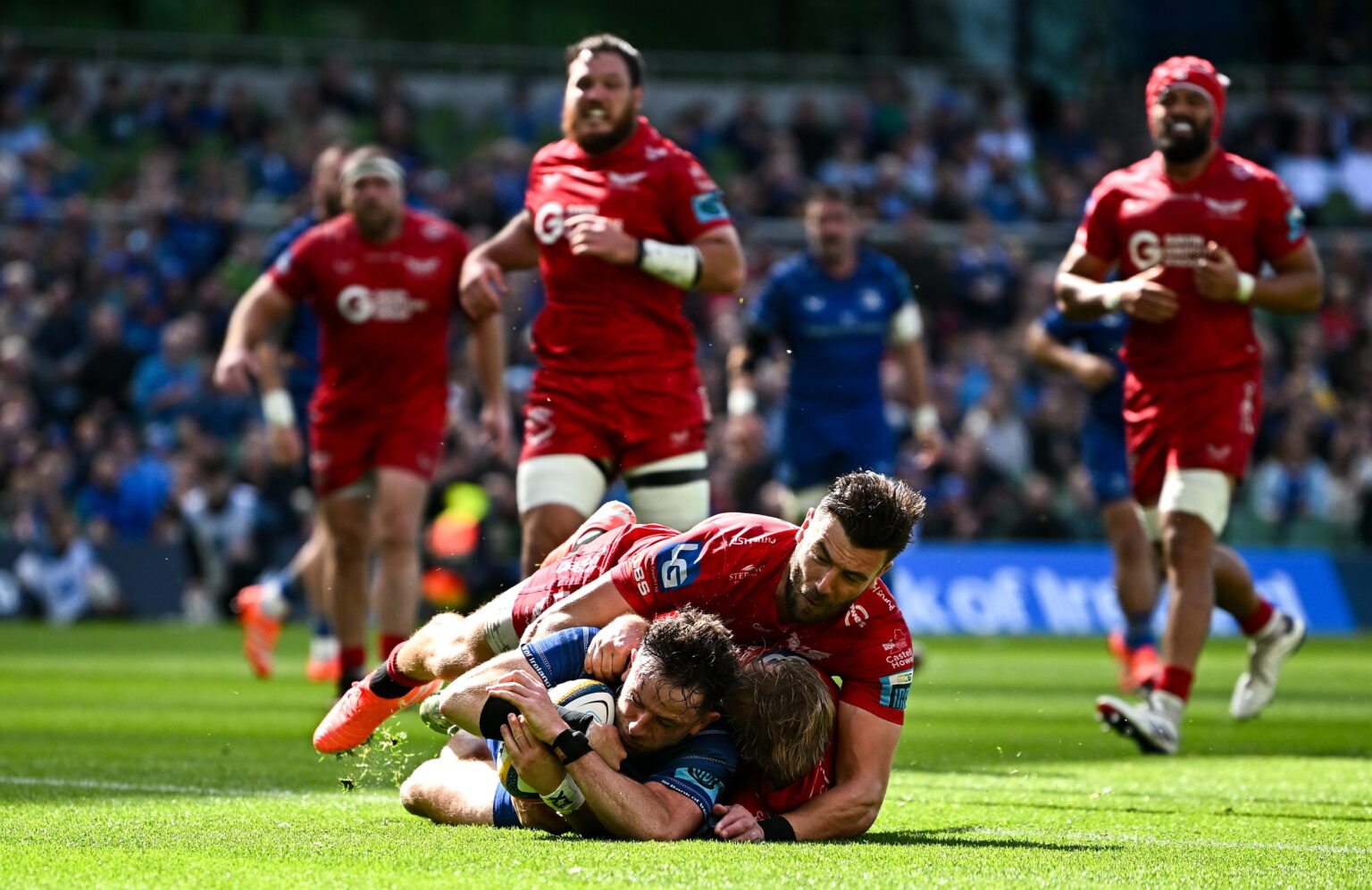 439 : Leinster v Scarlets wrap – HARPIN' ON RUGBY